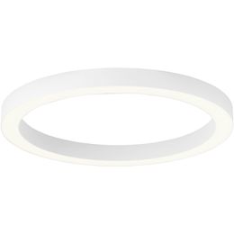 NEUHAUS PURE LED Deckenleuchte "PURE Lines Round", snow, 1, &Oslash; 50cm H: 3,9cm, 1 Stk., Leuchten, Stufenlos dimmbar &uuml;ber Fernbedienung, CCT, LED Deckenleuchte