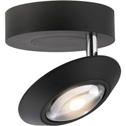 NEUHAUS PURE LED Deckenleuchte "PURE Oculis", schwarz pearl, 1, &Oslash; 15cm H: 8cm, 1 Stk., Leuchten, Dimmf&auml;hig &uuml;ber separaten Tronicdimmer, dreh- & schwenkbar, LED Deckenleuchte