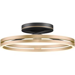 NEUHAUS PURE LED Deckenleuchte "PURE Loop", schwarz, ivory goldfarben, 1, &Oslash; 60cm H: 17,8cm, 1 Stk., Leuchten, Dimmbar &uuml;ber Fernbedienung, CCT, separat steuerbar, LED Deckenleuchte