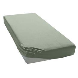 Spannbettlaken OTTO HOME "BLACKBERRY in BASIC und PREMIUM Qualit&auml;t, 100% Baumwolle", gr&uuml;n (seegr&uuml;n), B:120cm L:200cm, Jersey (110 g/m&sup2;), Obermaterial: 100% Baumwolle, Bettlaken, Spannbettlaken, f&uuml;r hohe Matratzen bis 28 cm, Bettlaken, Spannbetttuch, pflegeleicht, Topseller