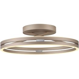 NEUHAUS PURE LED Deckenleuchte "PURE Loop", bronzefarben, 1, &Oslash; 60cm H: 17,8cm, 1 Stk., Leuchten, Dimmbar &uuml;ber Fernbedienung, CCT, separat steuerbar, LED Deckenleuchte