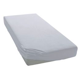 Spannbettlaken OTTO HOME "BLACKBERRY in BASIC und PREMIUM Qualit&auml;t, 100% Baumwolle", grau (hellgrau), B:200cm L:200cm, Jersey (110 g/m&sup2;), Obermaterial: 100% Baumwolle, Bettlaken, Spannbettlaken, f&uuml;r hohe Matratzen bis 28 cm, Bettlaken, Spannbetttuch, pflegeleicht, Topseller