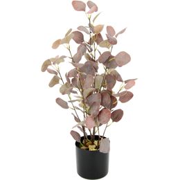 Kunstpflanze I.GE.A. "Eukalyptus", rot (burgund), B:27cm H:60cm, Kunststoff, Polyester, Kunstpflanzen, Kunstpflanze, Im Topf, mit Natursteinchen