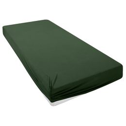 Spannbettlaken OTTO HOME "BLACKBERRY in BASIC und PREMIUM Qualit&auml;t, 100% Baumwolle", gr&uuml;n (dunkelgr&uuml;n), B:180cm L:200cm, Jersey (110 g/m&sup2;), Obermaterial: 100% Baumwolle, Bettlaken, Spannbettlaken, f&uuml;r hohe Matratzen bis 28 cm, Bettlaken, Spannbetttuch, pflegeleicht, Topseller
