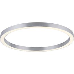 NEUHAUS PURE LED Deckenleuchte "PURE Lines Round", diamond, 1, &Oslash; 70cm H: 3,9cm, 1 Stk., Leuchten, Stufenlos dimmbar &uuml;ber Fernbedienung, CCT, LED Deckenleuchte