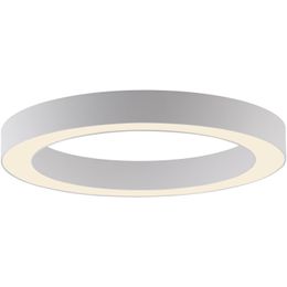 NEUHAUS PURE LED Deckenleuchte "PURE Lines Round", snow, 1, &Oslash; 35cm H: 3,9cm, 1 Stk., Leuchten, Stufenlos dimmbar &uuml;ber Fernbedienung, CCT, LED Deckenleuchte
