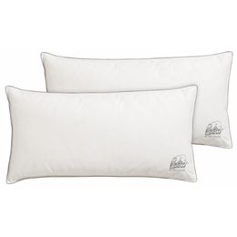 Federkissen Ribeco "Eve", wei&szlig;, B:40cm L:80cm, F&uuml;llung: 90% Federn, 10% Daunen, Kopfkissen, Kopkissen in 80x80 cm und weiterer Gr&ouml;&szlig;e