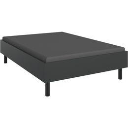 Bett wimex "Easy, gro&szlig;e Auswahl an Gr&ouml;&szlig;en und Farben, auch in Komforth&ouml;he", grau (graphit, schwarz), H:46cm L:210cm, Betten, Bett, ohne Kopfteil, ideal unter Dachschr&auml;gen oder Fenster
