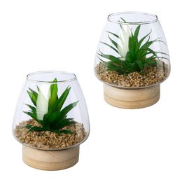 Kunstpflanze Creativ green "Sukkulenten im Glasgef&auml;&szlig;", gr&uuml;n, H:14cm &Oslash;:13cm, Kunststoff, Kunstpflanzen, Kunstpflanze, mit 2 verschiedenen Sukkulenten