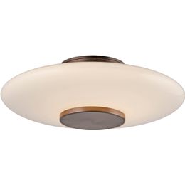 NEUHAUS PURE LED Deckenleuchte "PURE Vitrum", schwarz, metal braun, 1, &Oslash; 22cm H: 8,2cm, 1 Stk., Leuchten, Dimmf&auml;hig &uuml;ber separaten Dimmer, zeitloses Design, LED Deckenleuchte