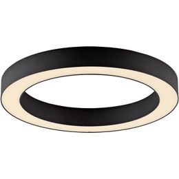 NEUHAUS PURE LED Deckenleuchte "PURE Lines Round", graphite, 1, &Oslash; 35cm H: 3,9cm, 1 Stk., Leuchten, Stufenlos dimmbar &uuml;ber Fernbedienung, CCT, LED Deckenleuchte