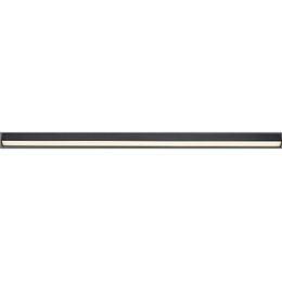 NEUHAUS PURE LED Deckenleuchte "PURE Lines Straight", graphite, 1, H: 3,9cm, 1 Stk., Leuchten, Dimmbar &uuml;ber Fernbedienung, CCT, Memoryfunktion, LED Deckenleuchte