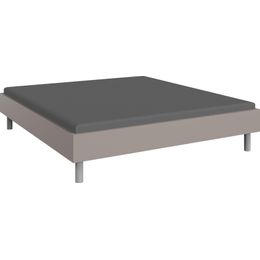 Bett wimex "Easy, gro&szlig;e Auswahl an Gr&ouml;&szlig;en und Farben, auch in Komforth&ouml;he", grau (sahara grau, alufarben), H:38cm L:210cm, Betten, Bett, ohne Kopfteil, ideal unter Dachschr&auml;gen oder Fenster