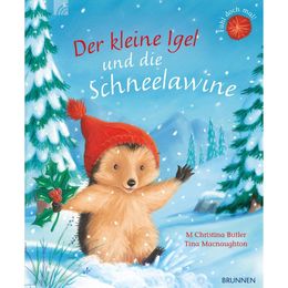 Brunnen Der kleine Igel und die Schneelawine