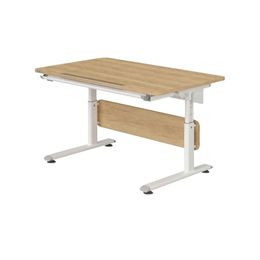 Paidi Sch&uuml;lerschreibtisch holzfarben Ma&szlig;e (cm): B: 120 H: 53 T: 70.0 &raquo; M&ouml;bel Kraft