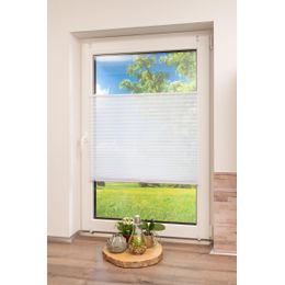 Plissee K-home "Klemmfix Pisa" Gr. 40, wei&szlig; (reinwei&szlig;), B:30cm H:130cm, Obermaterial: 100% Polyester, Plissees, Crushed-Optik