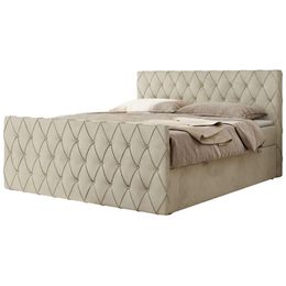 M&ouml;bel Kraft Boxbett mit Bettkasten beige Ma&szlig;e (cm): B: 201 H: 110 &raquo; M&ouml;bel Kraft