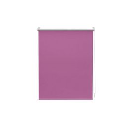 LICHTBLICK Thermo-Rollo Klemmfix lila/violett Synthetische Materialien Ma&szlig;e (cm): B: 45 H: 4,3 &raquo; M&ouml;bel Kraft