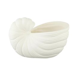 M&ouml;bel Kraft Blumentopf Muschel wei&szlig; Porzellan Ma&szlig;e (cm): B: 20 H: 10 T: 12.0 &raquo; M&ouml;bel Kraft