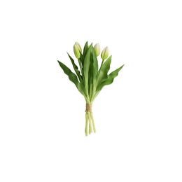 M&ouml;bel Kraft Tulpenbund 5fach wei&szlig; Kunststoff,Metall Ma&szlig;e (cm): H: 32 &raquo; M&ouml;bel Kraft
