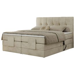 M&ouml;bel Kraft Motor Boxspringbett mit Bettkasten beige Ma&szlig;e (cm): B: 148 H: 124 &raquo; M&ouml;bel Kraft