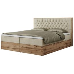 M&ouml;bel Kraft Boxbett mit Bettkasten beige Ma&szlig;e (cm): B: 148 H: 115 &raquo; M&ouml;bel Kraft