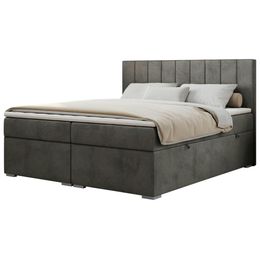 M&ouml;bel Kraft Boxbett mit Bettkasten grau Ma&szlig;e (cm): B: 200 H: 118 &raquo; M&ouml;bel Kraft