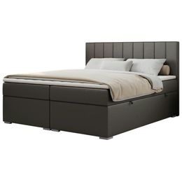 M&ouml;bel Kraft Boxbett mit Bettkasten grau Ma&szlig;e (cm): B: 160 H: 118 &raquo; M&ouml;bel Kraft