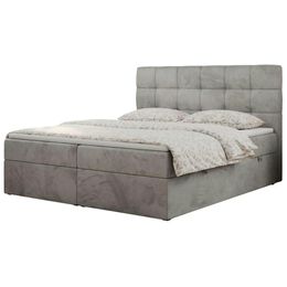 M&ouml;bel Kraft Boxbett mit Bettkasten grau Ma&szlig;e (cm): B: 140 H: 110 &raquo; M&ouml;bel Kraft