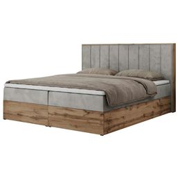 M&ouml;bel Kraft Boxbett mit Bettkasten grau Ma&szlig;e (cm): B: 168 H: 115 &raquo; M&ouml;bel Kraft