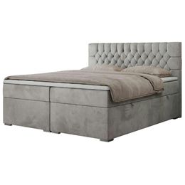 M&ouml;bel Kraft Boxbett mit Bettkasten silber Ma&szlig;e (cm): B: 200 H: 125 &raquo; M&ouml;bel Kraft
