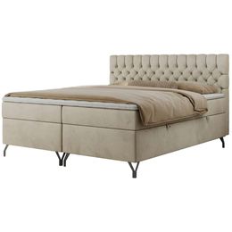 M&ouml;bel Kraft Boxbett mit Bettkasten beige Ma&szlig;e (cm): B: 184 H: 115 &raquo; M&ouml;bel Kraft