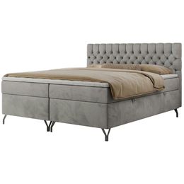 M&ouml;bel Kraft Boxbett mit Bettkasten grau Ma&szlig;e (cm): B: 204 H: 115 &raquo; M&ouml;bel Kraft