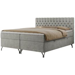 M&ouml;bel Kraft Boxbett mit Bettkasten grau Ma&szlig;e (cm): B: 184 H: 115 &raquo; M&ouml;bel Kraft