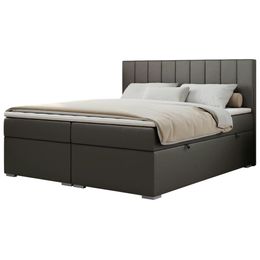 M&ouml;bel Kraft Boxbett mit Bettkasten grau Ma&szlig;e (cm): B: 160 H: 118 &raquo; M&ouml;bel Kraft
