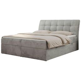 M&ouml;bel Kraft Boxbett mit Bettkasten grau Ma&szlig;e (cm): B: 160 H: 118 &raquo; M&ouml;bel Kraft