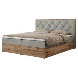 M&ouml;bel Kraft Boxbett mit Bettkasten grau Ma&szlig;e (cm): B: 208 H: 115 &raquo; M&ouml;bel Kraft