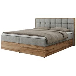 M&ouml;bel Kraft Boxbett mit Bettkasten grau Ma&szlig;e (cm): B: 168 H: 104 &raquo; M&ouml;bel Kraft