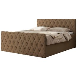 M&ouml;bel Kraft Boxbett mit Bettkasten braun Ma&szlig;e (cm): B: 181 H: 110 &raquo; M&ouml;bel Kraft