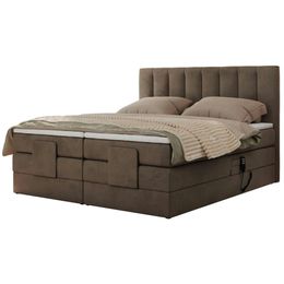 M&ouml;bel Kraft Motor Boxspringbett mit Bettkasten braun Ma&szlig;e (cm): B: 188 H: 124 &raquo; M&ouml;bel Kraft