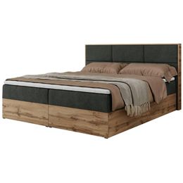 M&ouml;bel Kraft Boxbett mit Bettkasten grau Ma&szlig;e (cm): B: 188 H: 104 &raquo; M&ouml;bel Kraft
