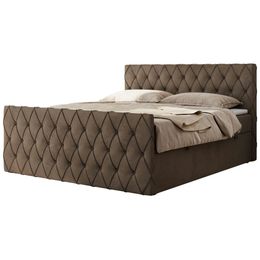 M&ouml;bel Kraft Boxbett mit Bettkasten braun Ma&szlig;e (cm): B: 201 H: 110 &raquo; M&ouml;bel Kraft