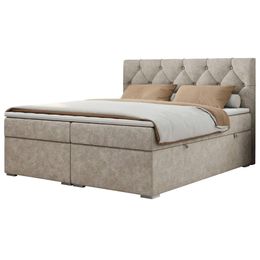 M&ouml;bel Kraft Boxbett mit Bettkasten beige Ma&szlig;e (cm): B: 180 H: 118 &raquo; M&ouml;bel Kraft