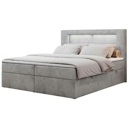 M&ouml;bel Kraft Boxbett mit Bettkasten grau Ma&szlig;e (cm): B: 120 H: 103 &raquo; M&ouml;bel Kraft