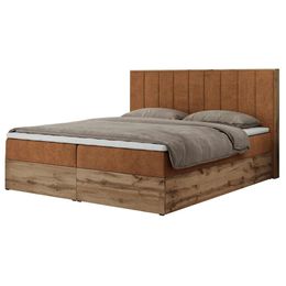 M&ouml;bel Kraft Boxbett mit Bettkasten orange Ma&szlig;e (cm): B: 148 H: 115 &raquo; M&ouml;bel Kraft