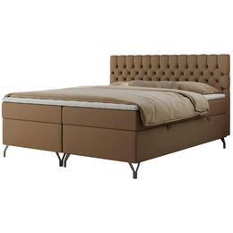 M&ouml;bel Kraft Boxbett mit Bettkasten braun Ma&szlig;e (cm): B: 164 H: 115 &raquo; M&ouml;bel Kraft