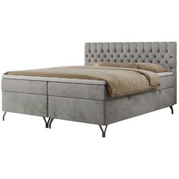 M&ouml;bel Kraft Boxbett mit Bettkasten grau Ma&szlig;e (cm): B: 184 H: 115 &raquo; M&ouml;bel Kraft