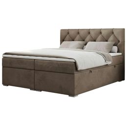 M&ouml;bel Kraft Boxbett mit Bettkasten braun Ma&szlig;e (cm): B: 140 H: 118 &raquo; M&ouml;bel Kraft