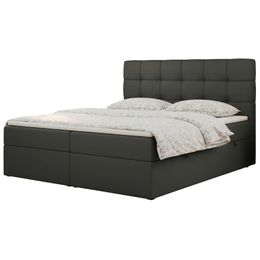 M&ouml;bel Kraft Boxbett mit Bettkasten grau Ma&szlig;e (cm): B: 120 H: 110 &raquo; M&ouml;bel Kraft