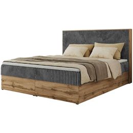 M&ouml;bel Kraft Boxbett mit Bettkasten grau Ma&szlig;e (cm): B: 164 H: 120 &raquo; M&ouml;bel Kraft